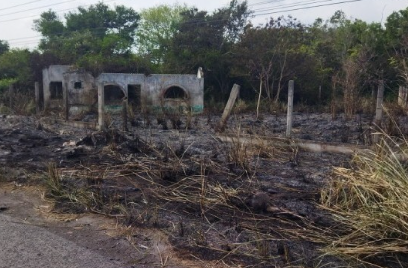 Grupo MAS presentará denuncia por incendio en zona donde se construirá ... Grupo MAS presentará denuncia por incendio en zona donde se construirá ...